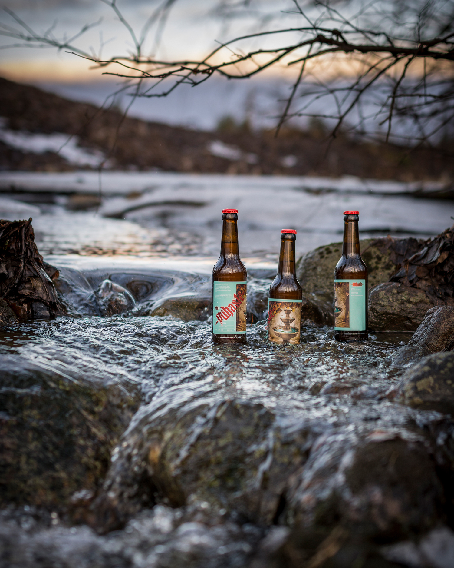 Põhisortiment – Puhastebeer